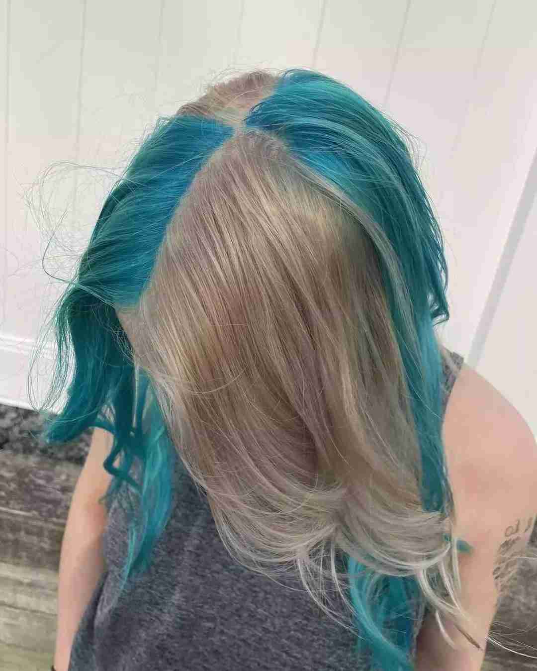 31 Bold And Stunning Skunk Stripe Hair Ideas To Elevate Your Look ...